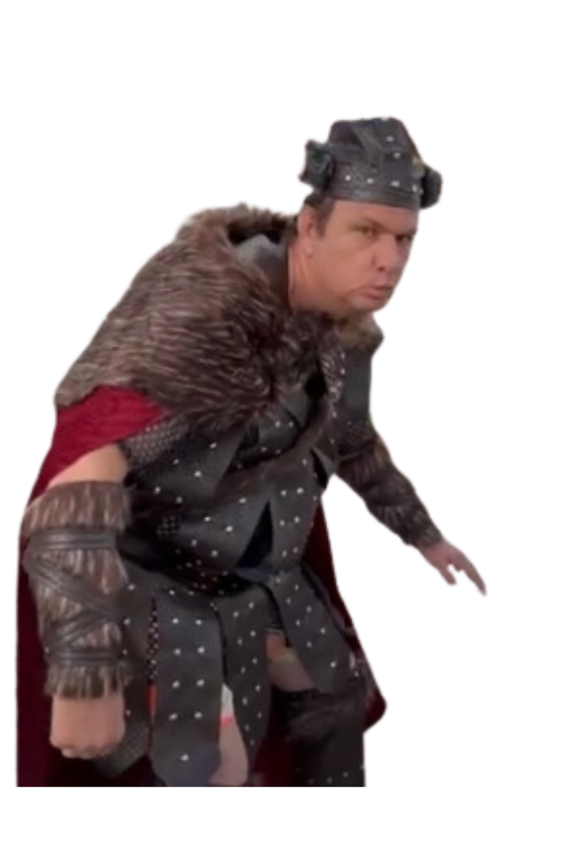 Nordic Wave Review: The Viking Cold Plunge - Ice Bath Tub Reviews